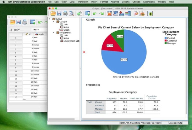 Télécharger IBM SPSS Statistics 29.0.2 pour Windows Télécharger IBM SPSS Statistics 29.0.2 pour Windows